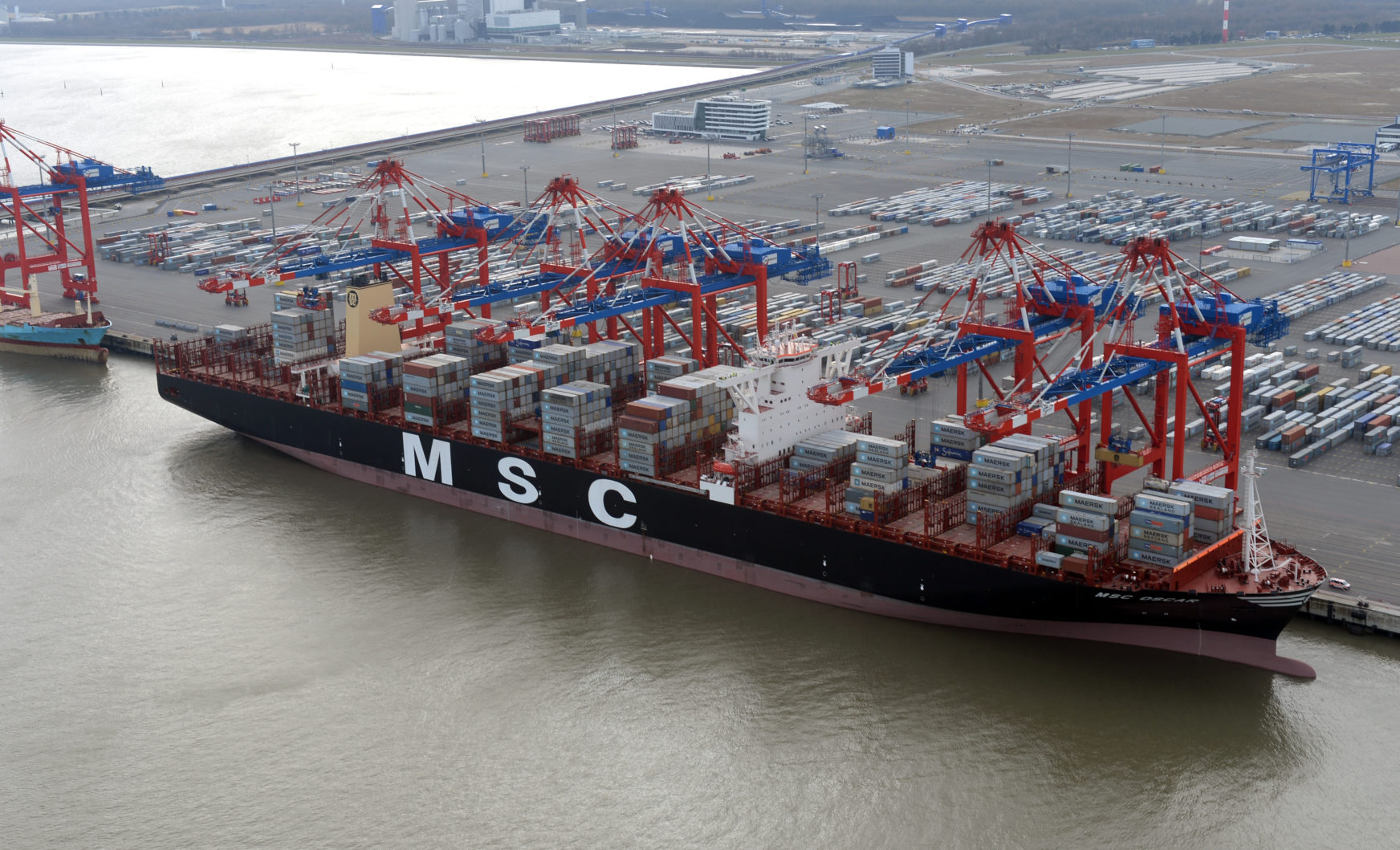 Neuer Auftritt der Mediterranean Shipping Company Austria GmbH ...