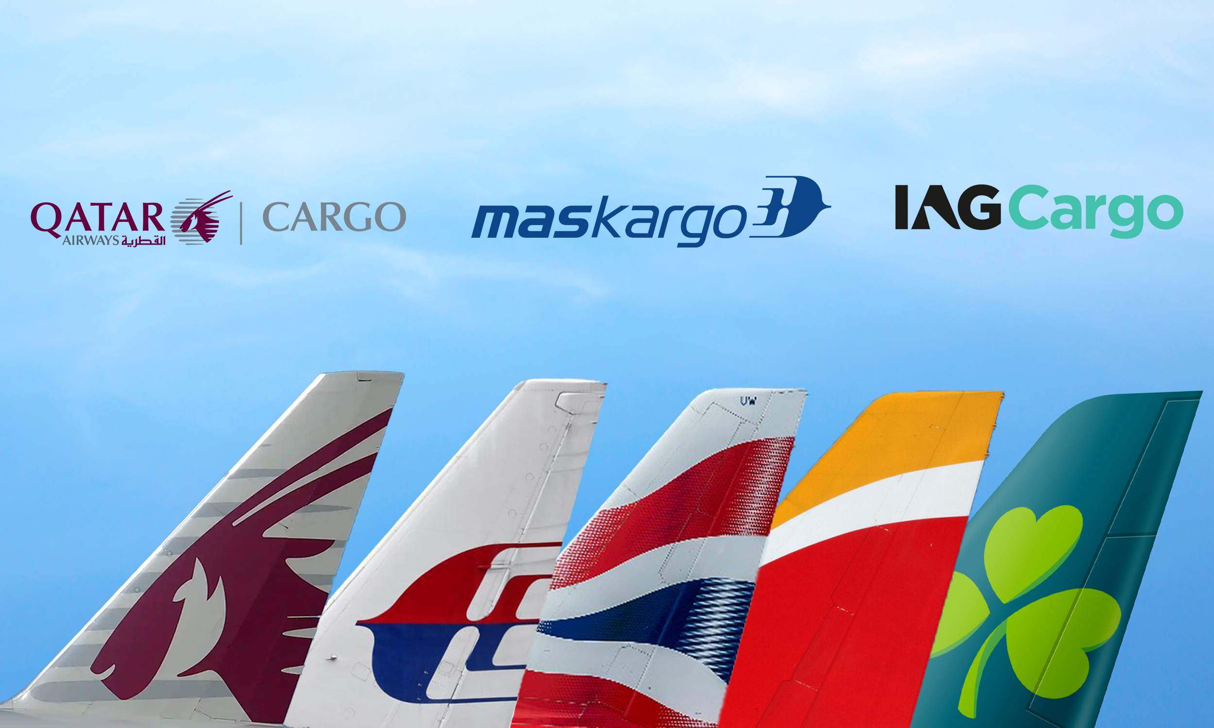 QR Cargo, IAG Cargo und MASkargo bald als Joint Venture ...